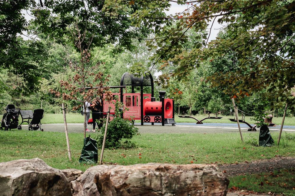 Tarleton Park | City of Alexandria, VA